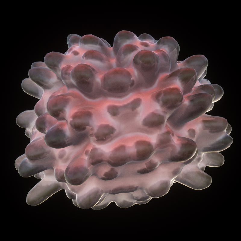 3D model t lymphocytes - TurboSquid 1388084