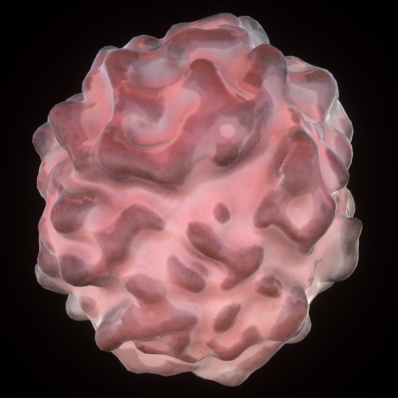 modèle 3D de Lymphocytes T (1) - TurboSquid 1388084