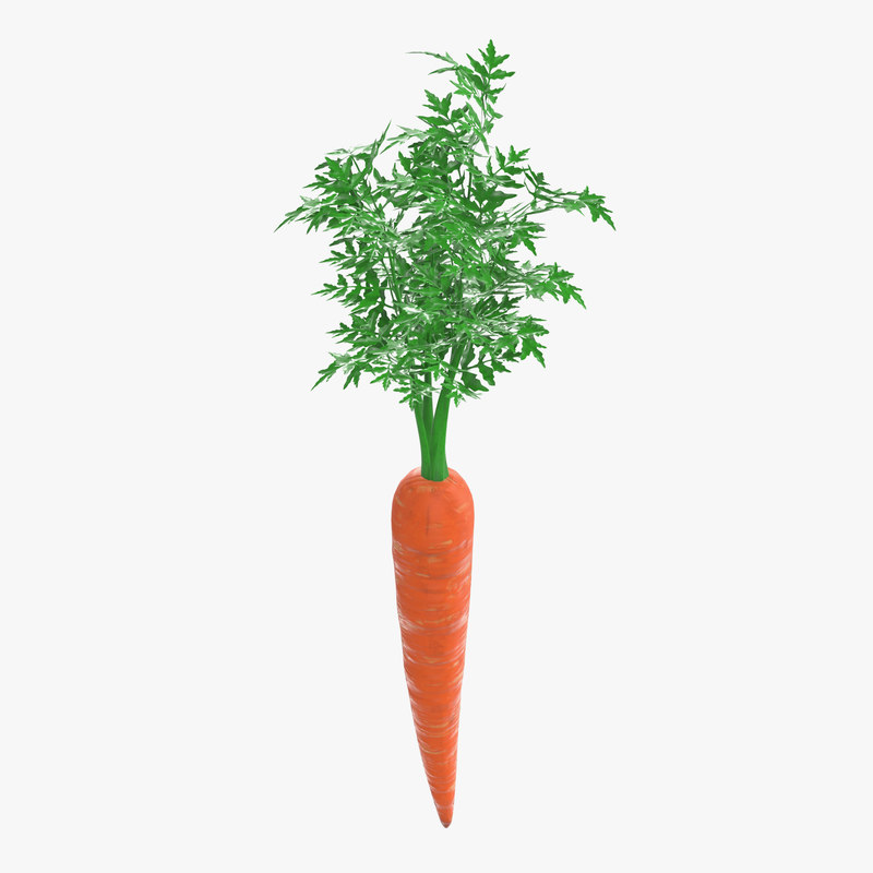 3D carrot - TurboSquid 1389022