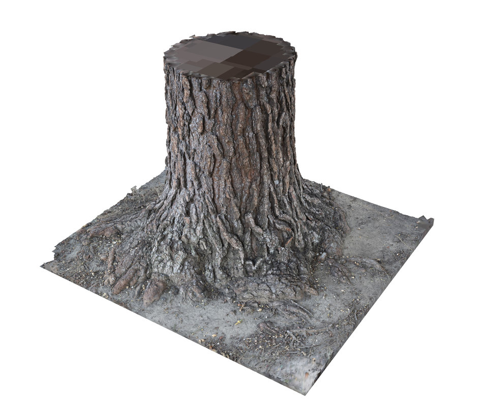 Pine tree trunk bark 3D model - TurboSquid 1389266