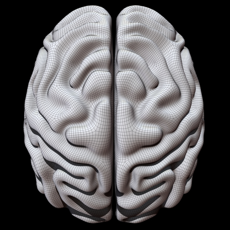 3D brain model - TurboSquid 1389358