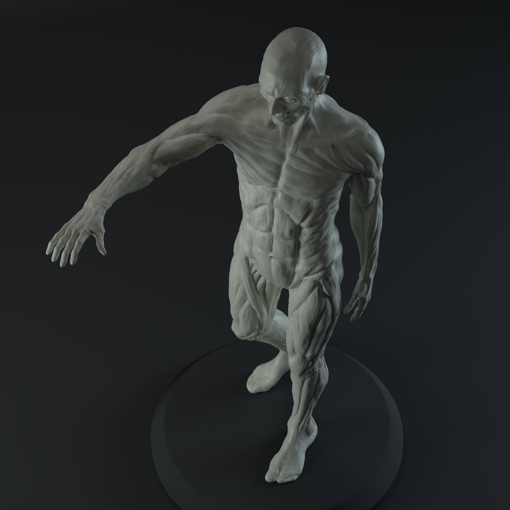 Free 3D male anatomy body - TurboSquid 1389574