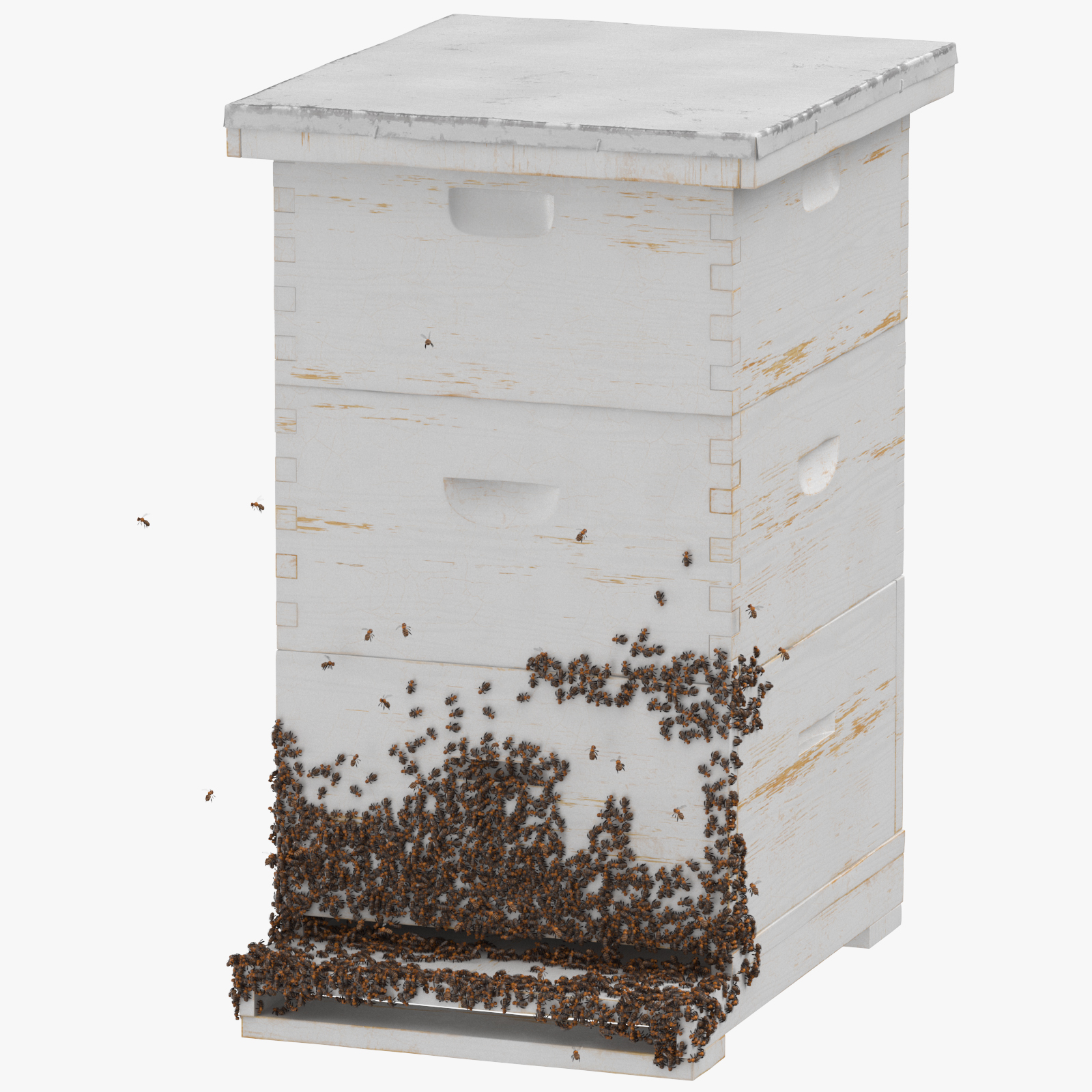 3D model bees wasps hives - TurboSquid 1389716