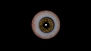 Eyes Blender Models for Download | TurboSquid