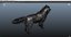 Free 3D grey wolf rig - TurboSquid 1390070