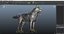 Free 3D grey wolf rig - TurboSquid 1390070