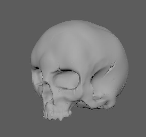 3D модель Человеческий череп - TurboSquid 1390662