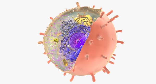 3D human cell - TurboSquid 1390779