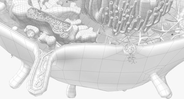 3D human cell - TurboSquid 1390779