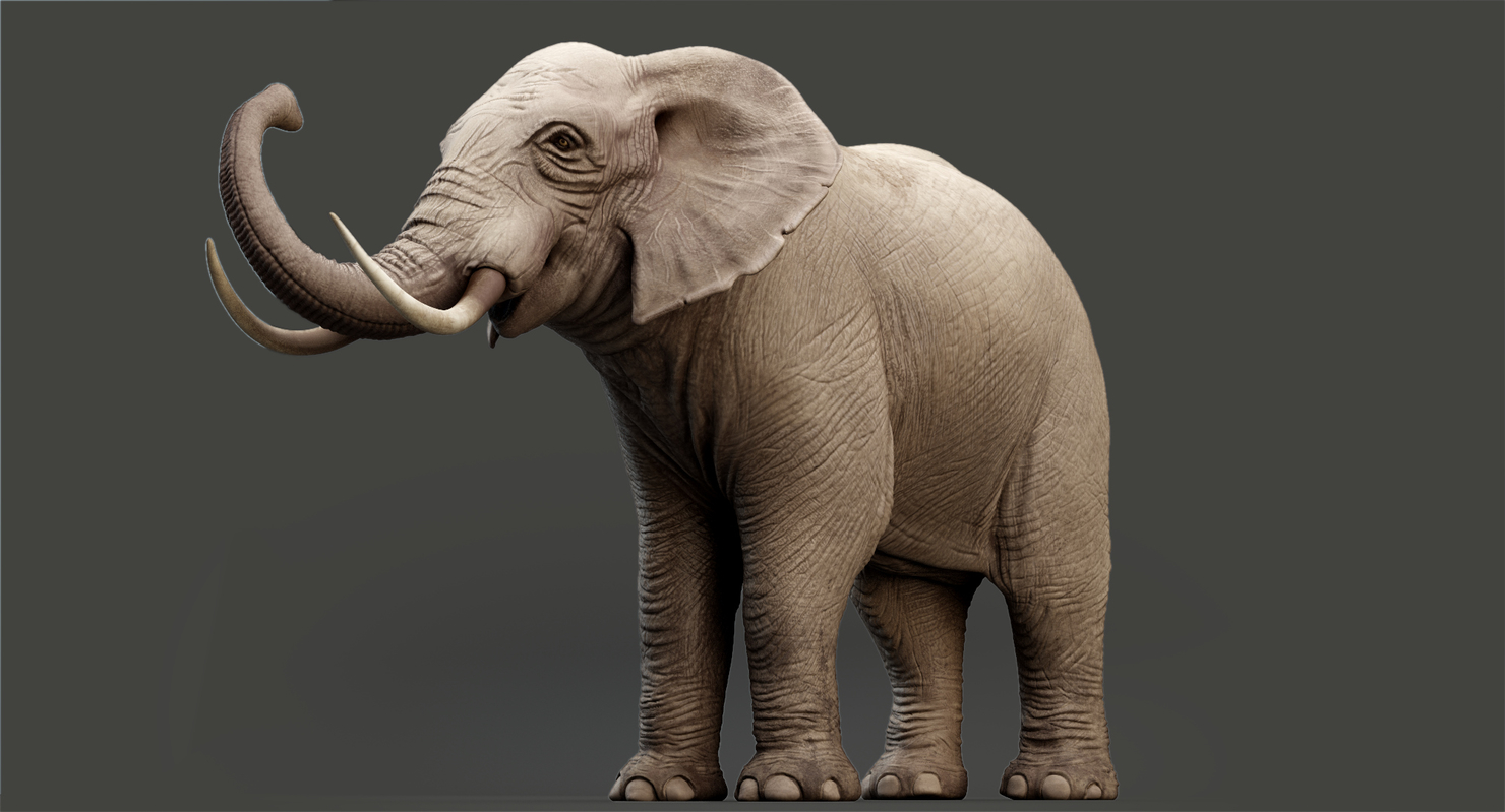 Elephant modeled rigging animation 3D - TurboSquid 1391046