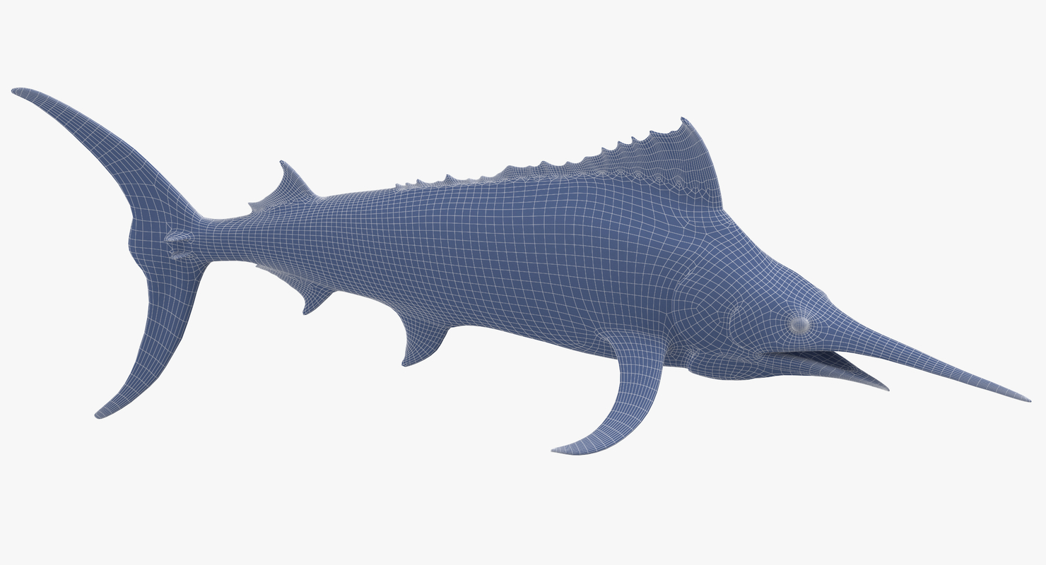 Black marlin 3D model - TurboSquid 1390971