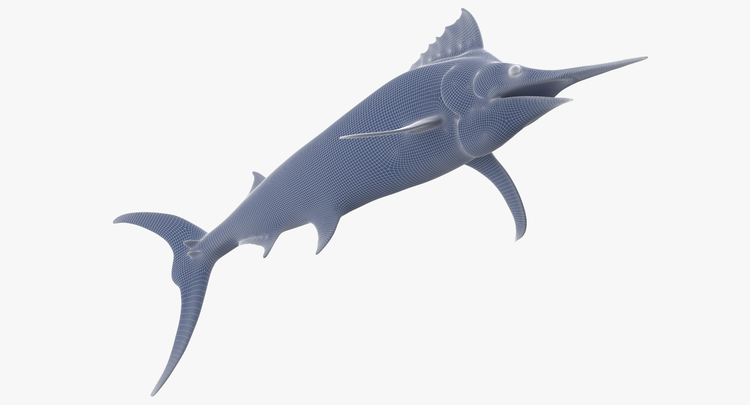 Black marlin 3D model - TurboSquid 1390971