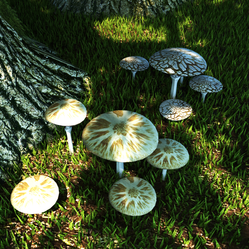Fungus set mushrooms 3D model - TurboSquid 1391104