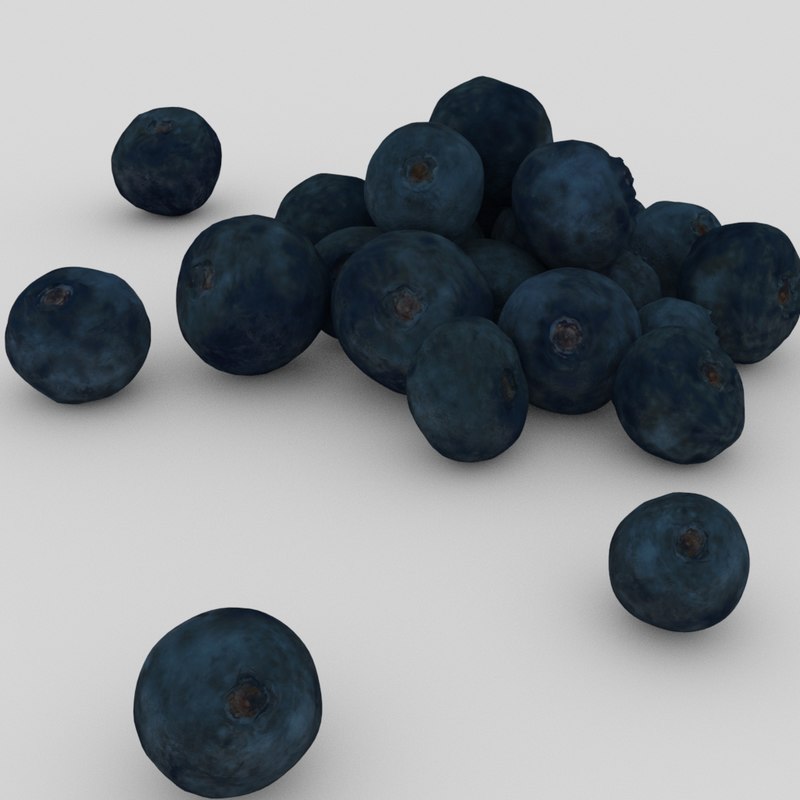 Blueberry Blue Berry 3d Model Turbosquid 1391097