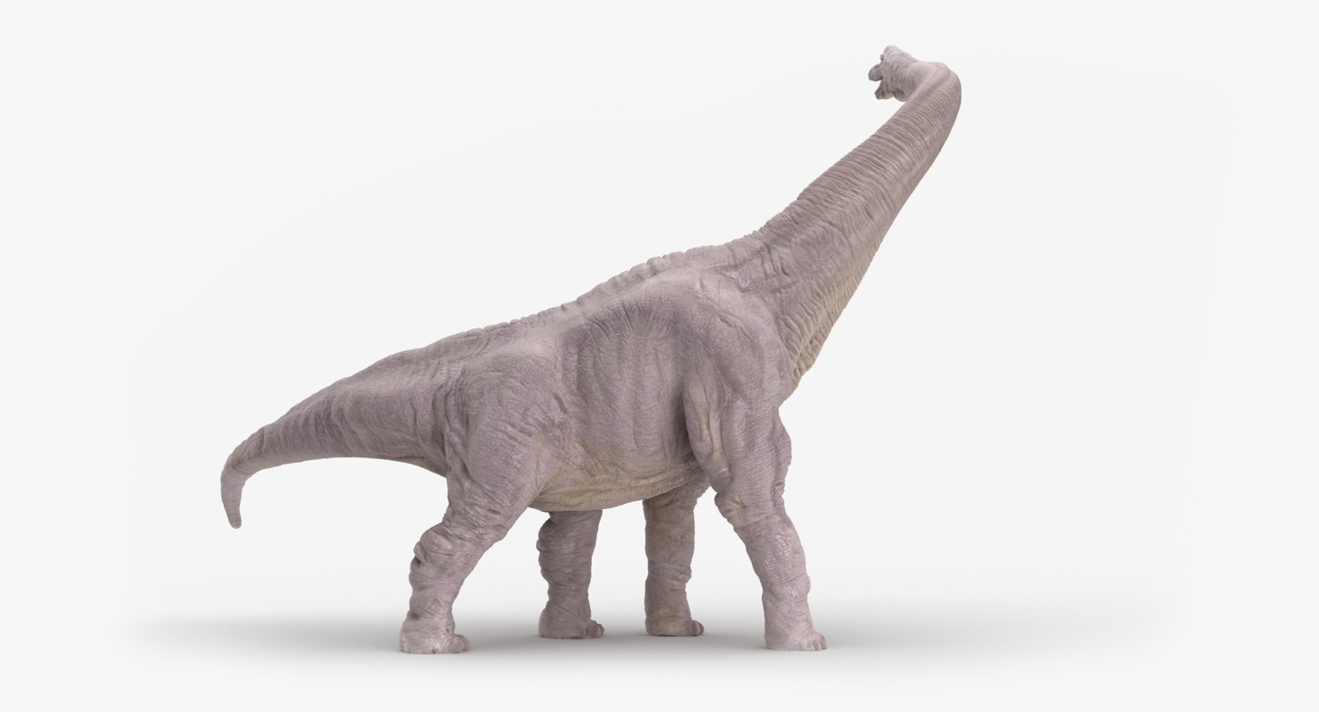 Brachiozaur Model 3D - TurboSquid 1392853