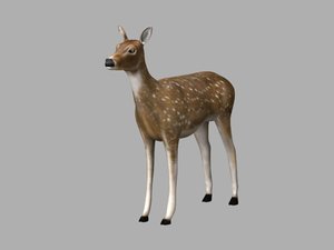 wild boar animations max