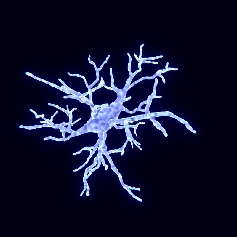 Microglial cell 3D model - TurboSquid 1391776