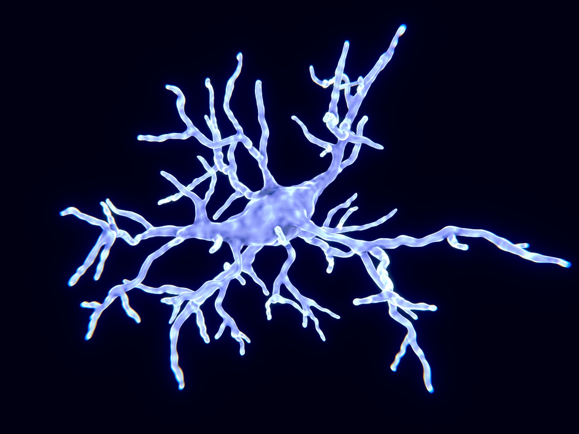 modelo 3d Célula microglial - TurboSquid 1391776