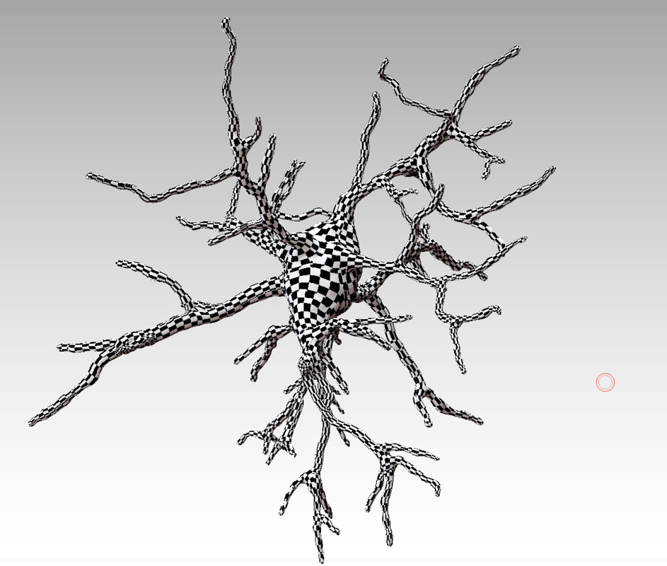 Microglial cell 3D model - TurboSquid 1391776