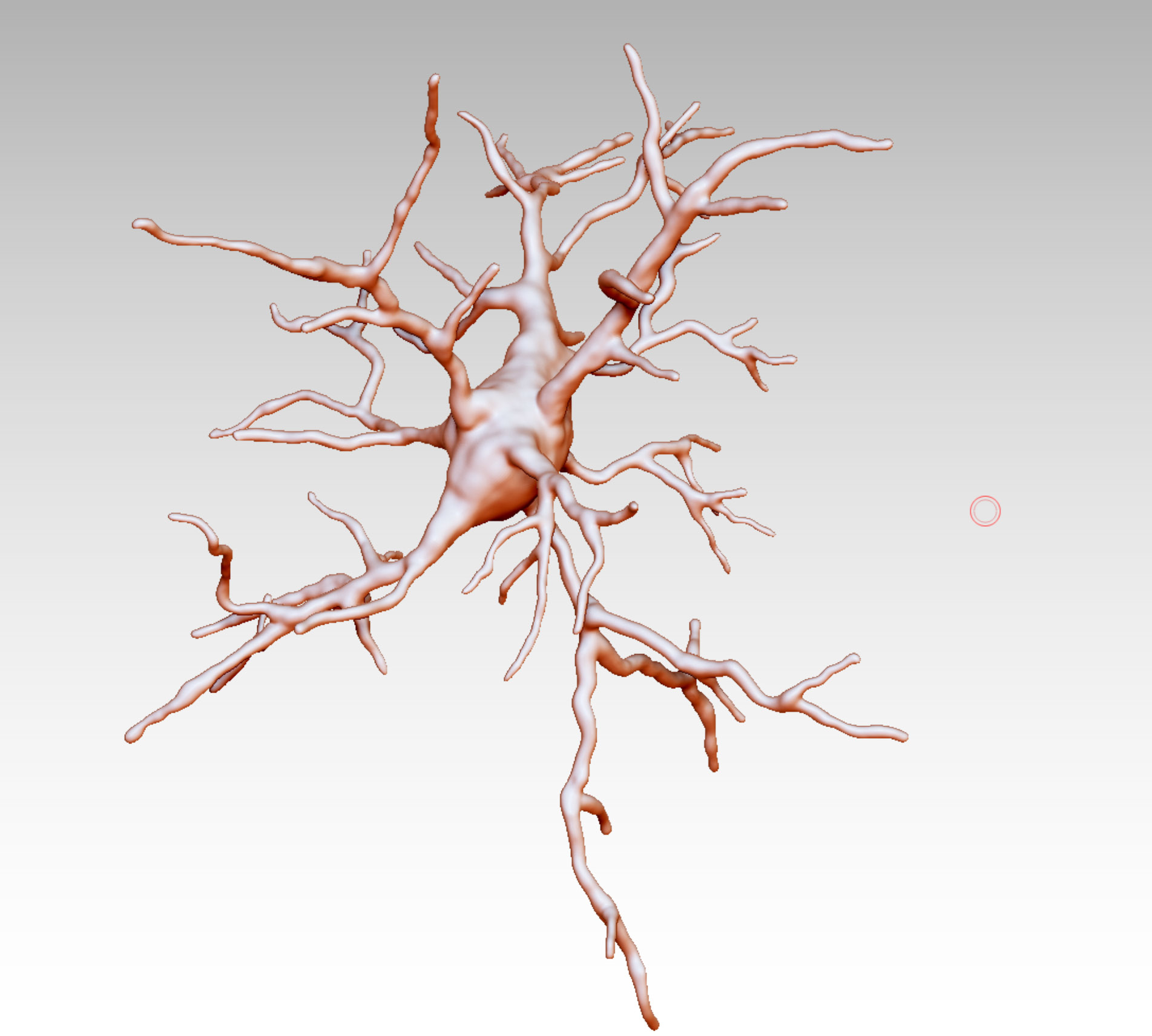 Microglial cell 3D model - TurboSquid 1391776