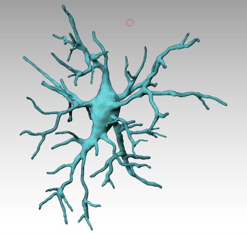 Microglial cell 3D model - TurboSquid 1391776