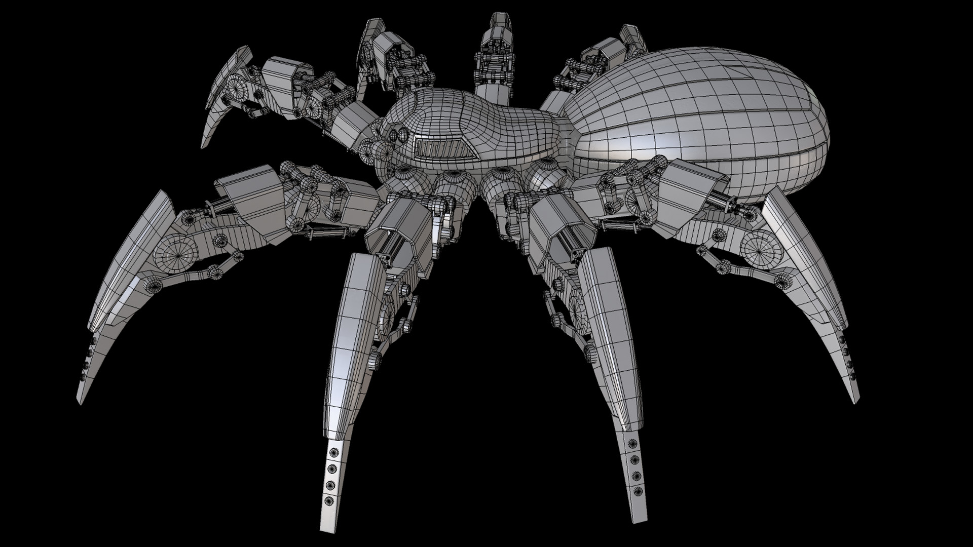 3d spider bot robot