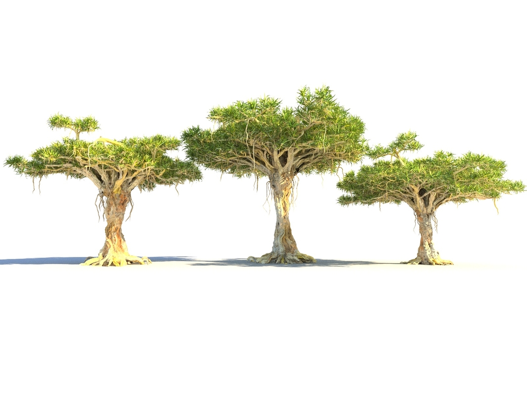 3D model dragon tree pack hd - TurboSquid 1392238