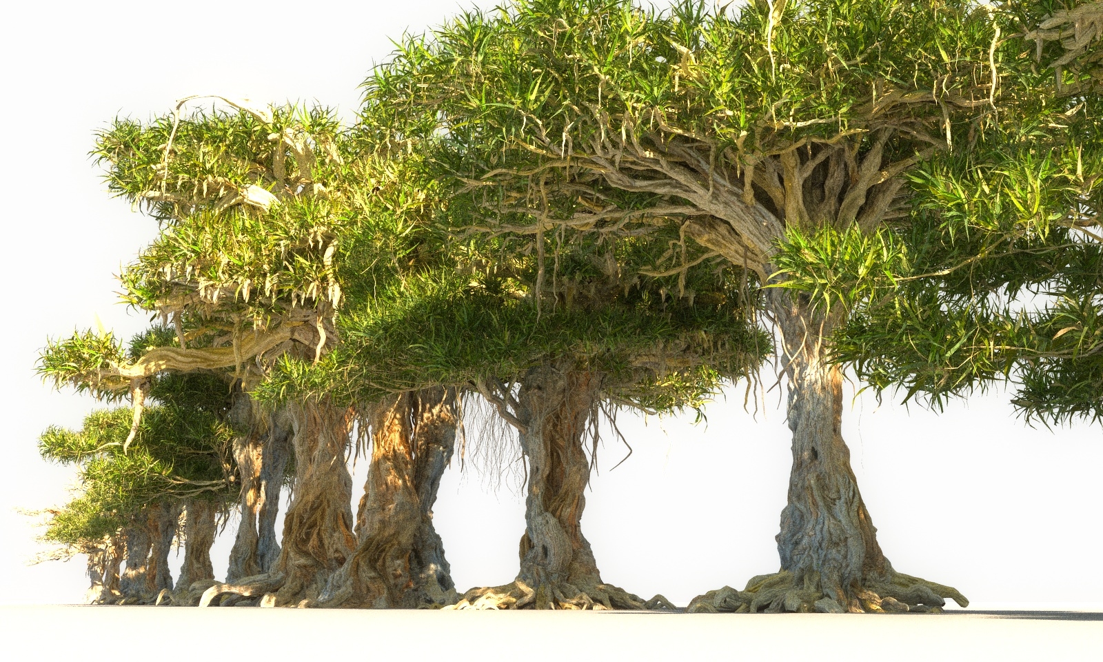 Dragon tree pack hd 3D model - TurboSquid 1392230
