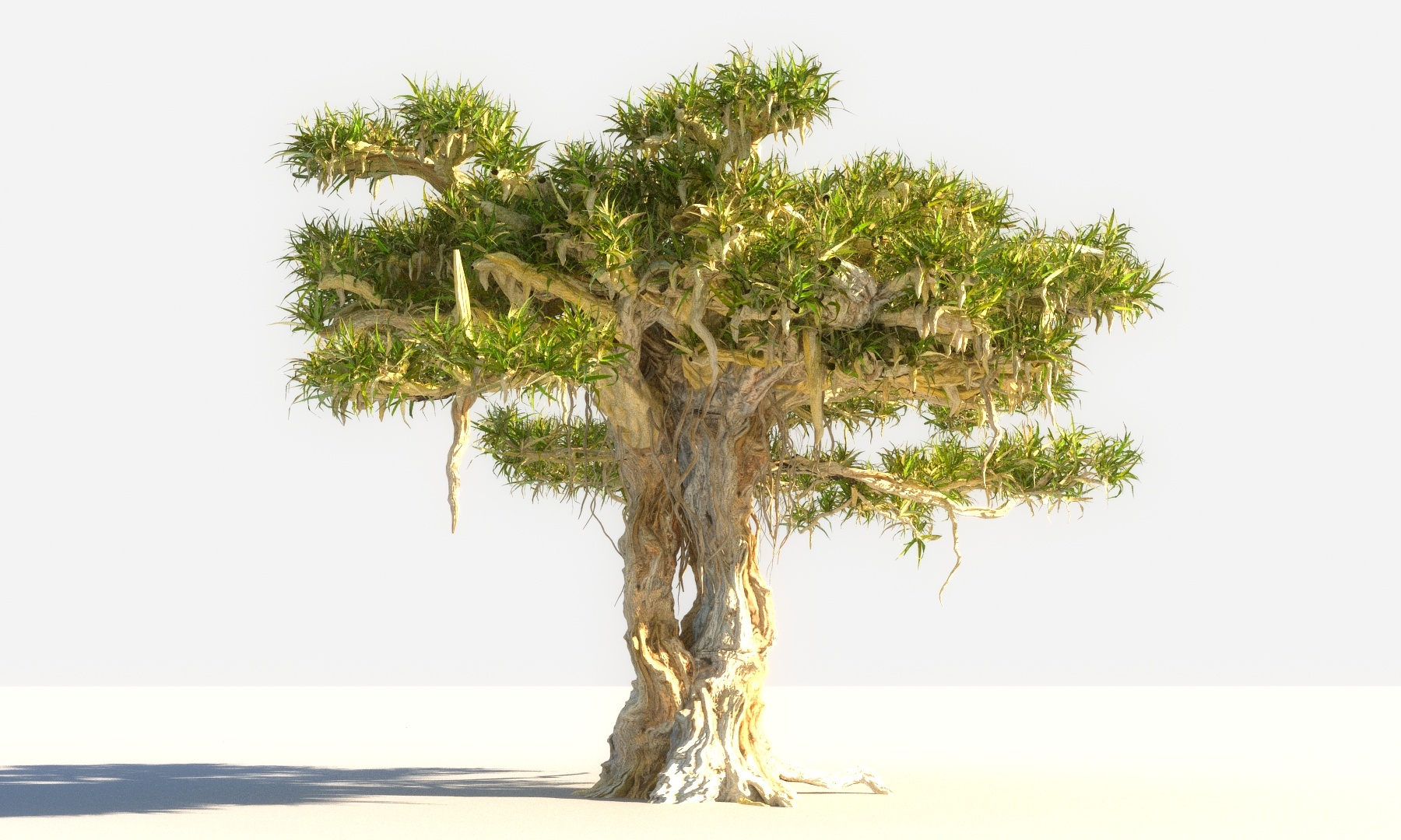 Dragon tree pack hd 3D model - TurboSquid 1392230