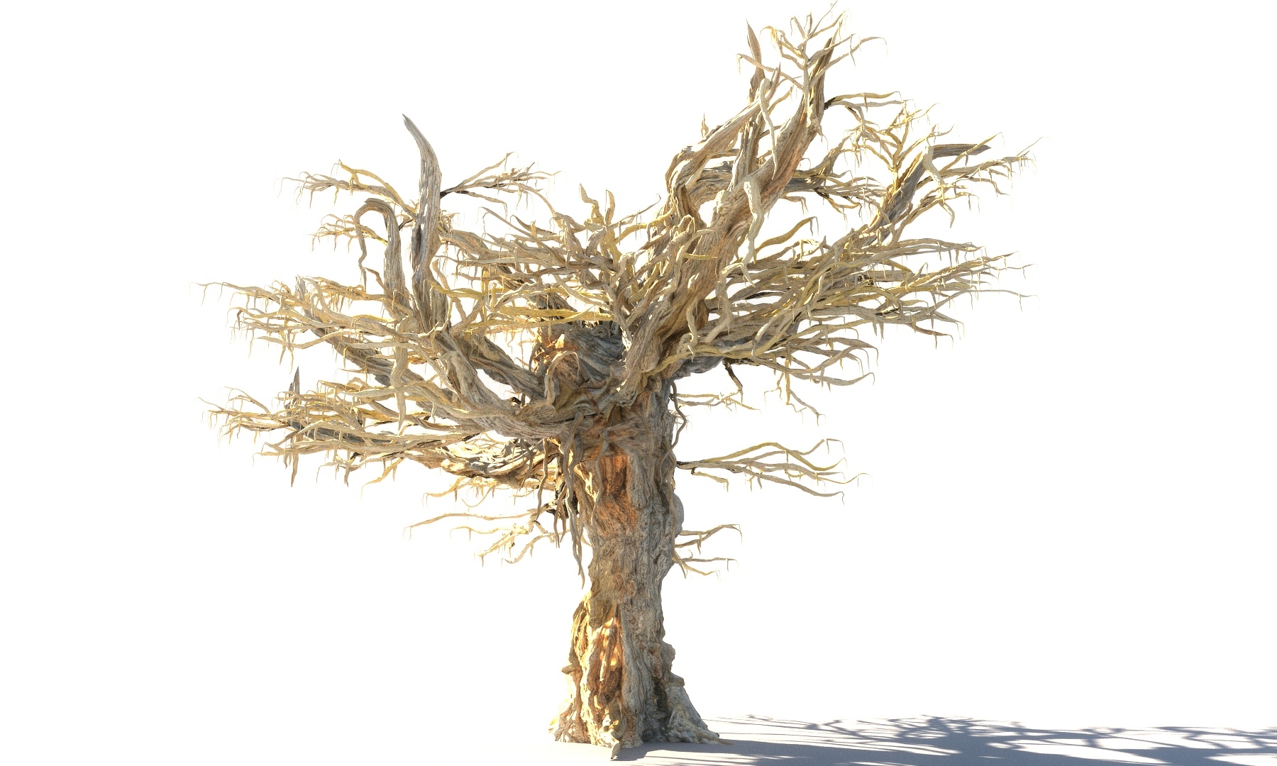 Dragon tree hd pack 3D - TurboSquid 1392222