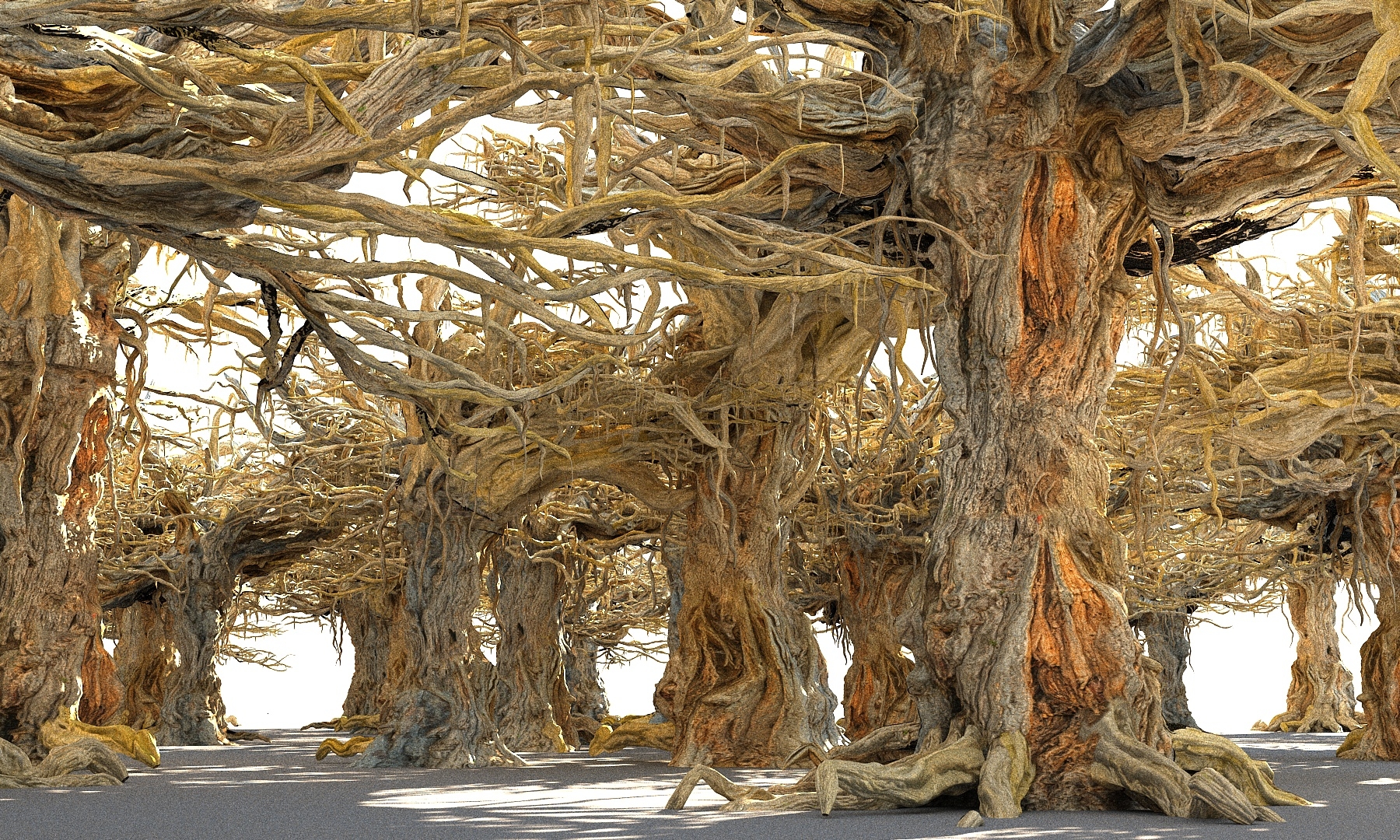 Dragon tree hd pack 3D - TurboSquid 1392222