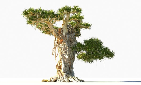 Dragon tree pack hd 3D model - TurboSquid 1392230
