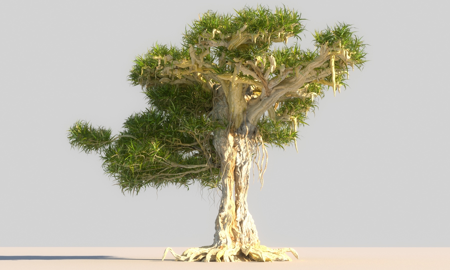 Dragon tree pack hd 3D model - TurboSquid 1392230