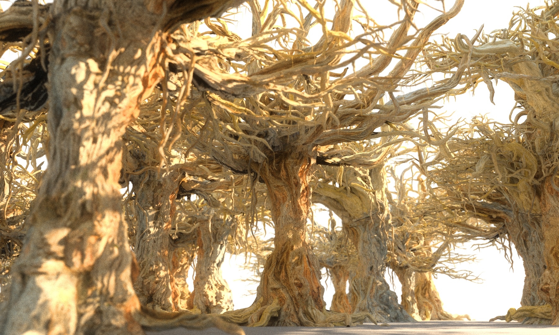 Dragon tree hd pack 3D - TurboSquid 1392222