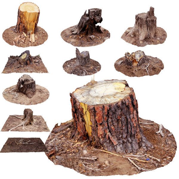 3d human face relief tree stump model