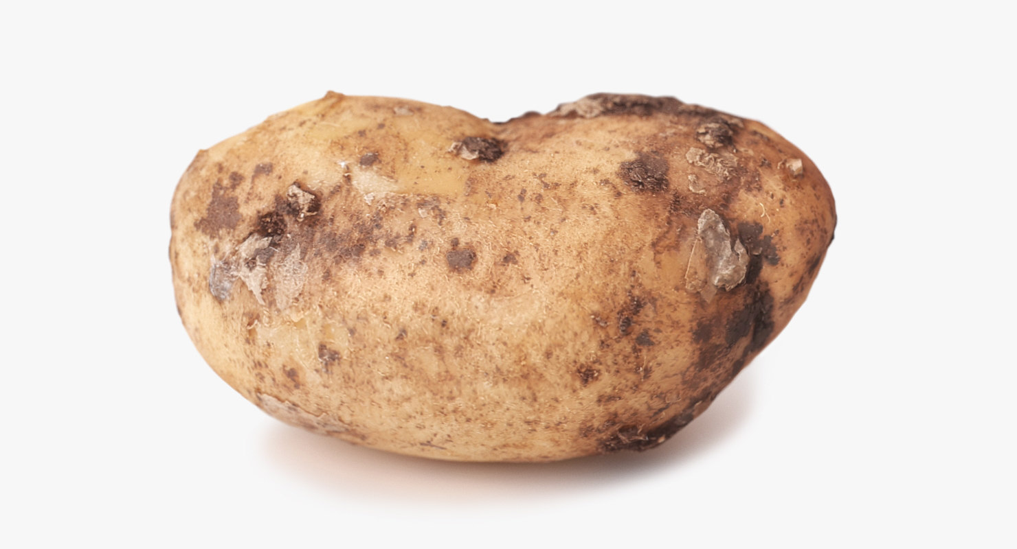 Realistic potato 01 3D - TurboSquid 1392417