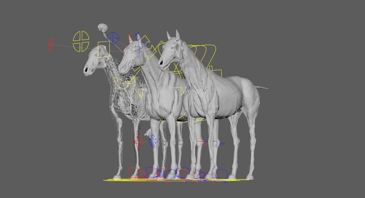 modèle 3D de Collection de chevaux (Rigged) - TurboSquid 1378877
