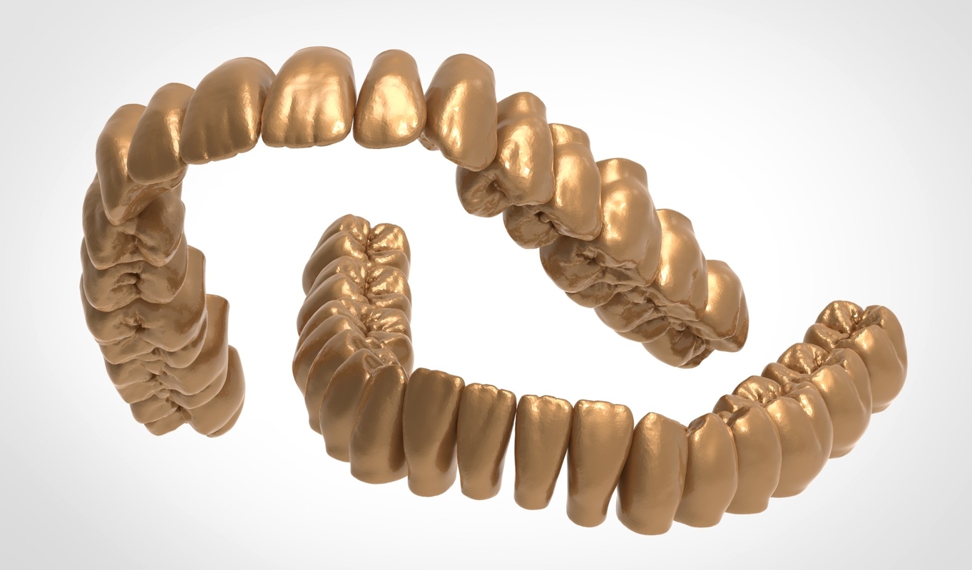Teeth STL Models for Download | TurboSquid