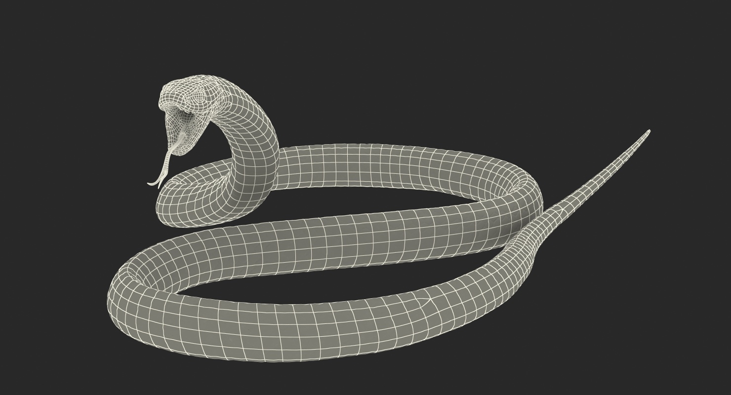 Desert black king snake 3D model - TurboSquid 1394112