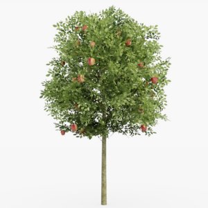 Apple Tree 3D Models for Download | TurboSquid