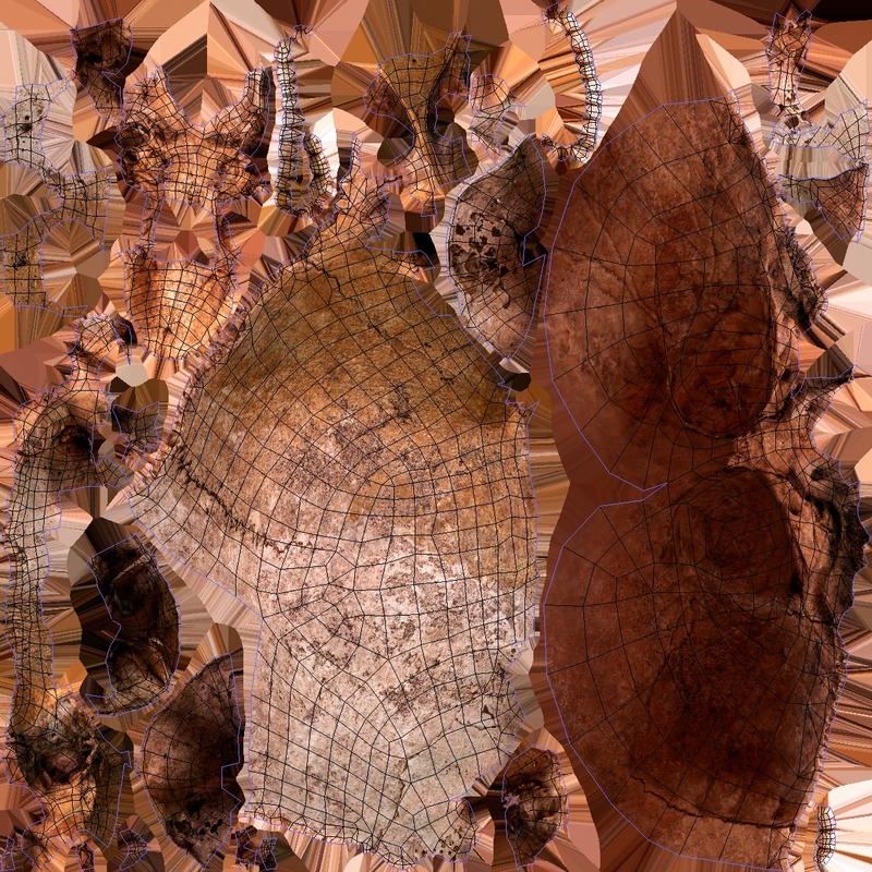 3D real skull - TurboSquid 1394597