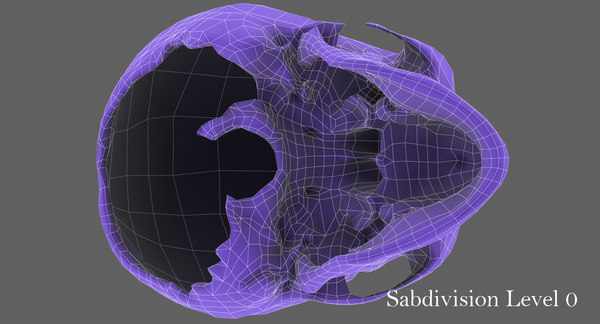 3D real skull - TurboSquid 1394597