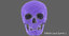 3D real skull - TurboSquid 1394597