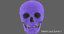 3D real skull - TurboSquid 1394597