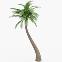 Palm Tree Blender Models for Download | TurboSquid