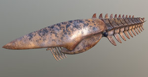 3d model pikaia prehistoric cambrian