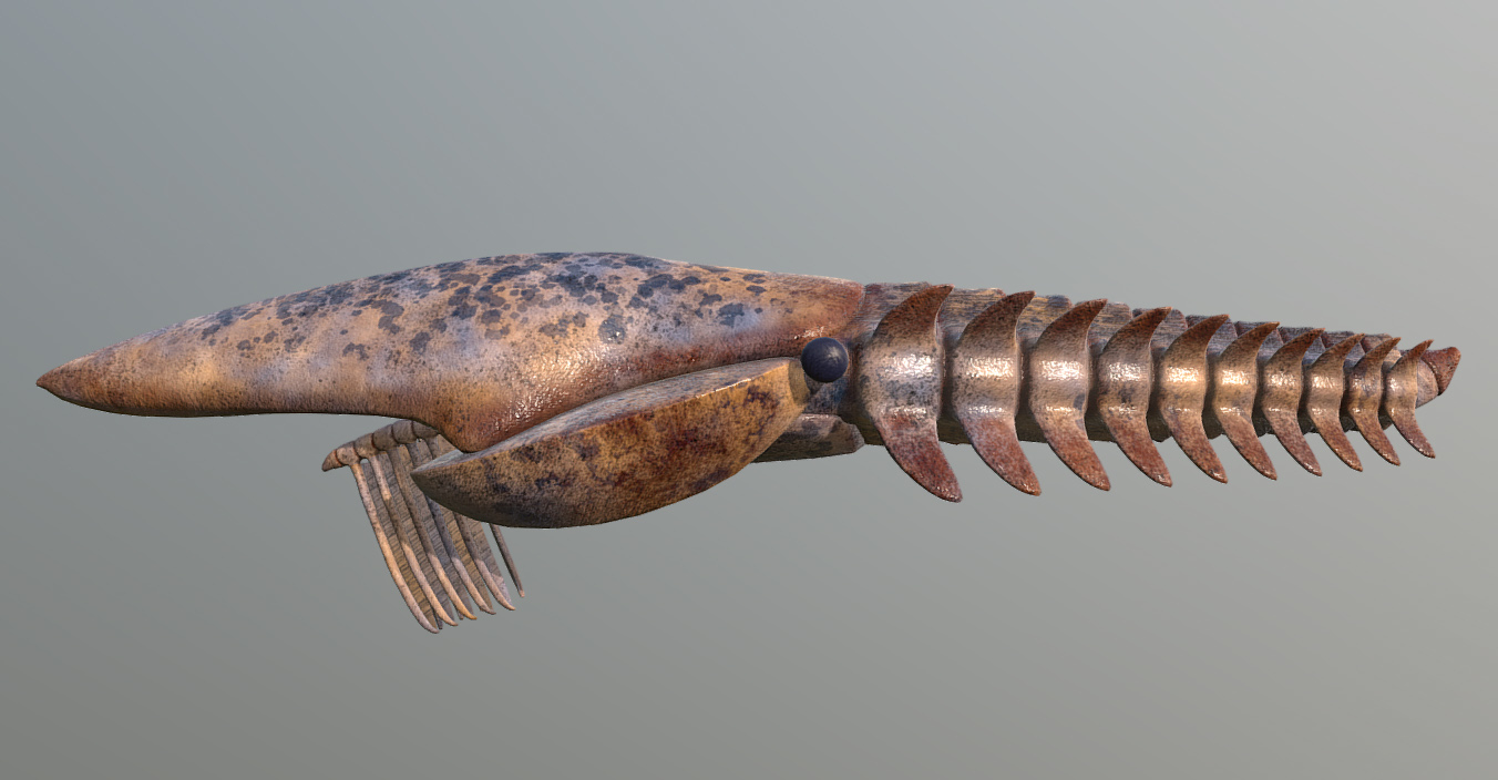 Aegirocassis benmoulae 3D-Modell - TurboSquid 1394970