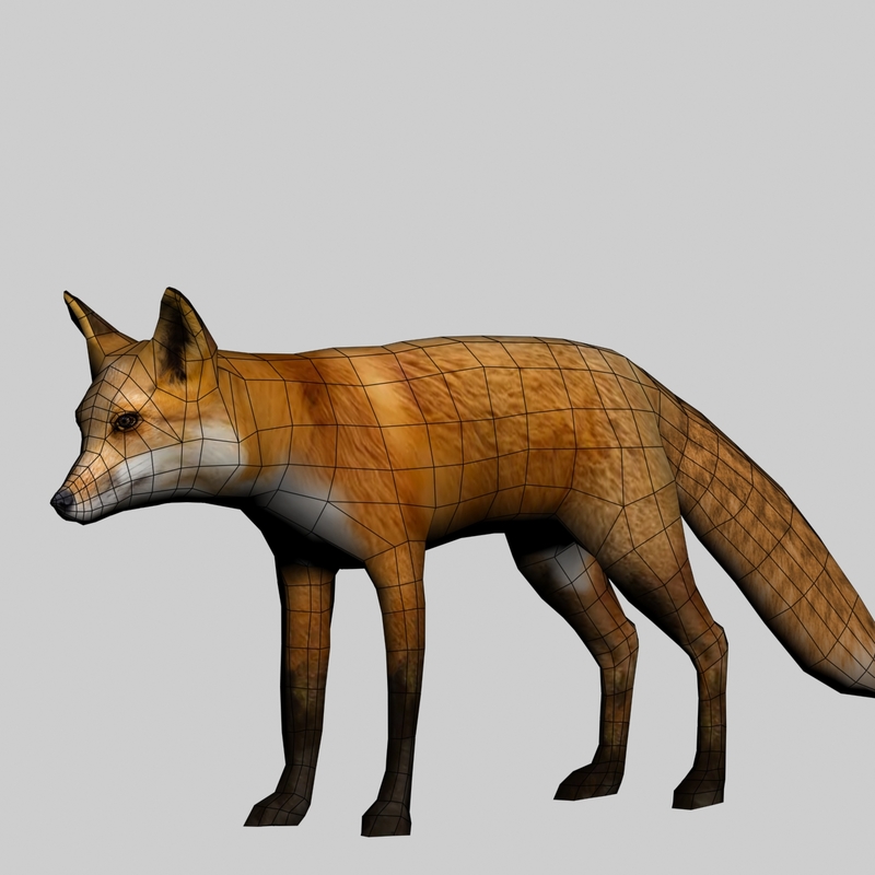 3D model fox - TurboSquid 1395052