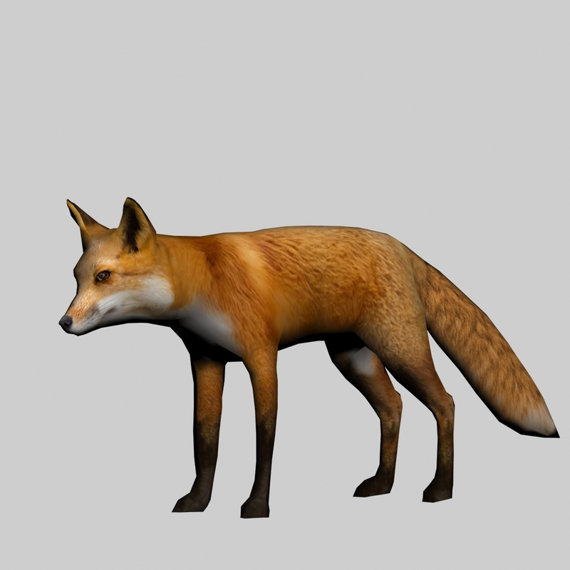 3D model fox - TurboSquid 1395052
