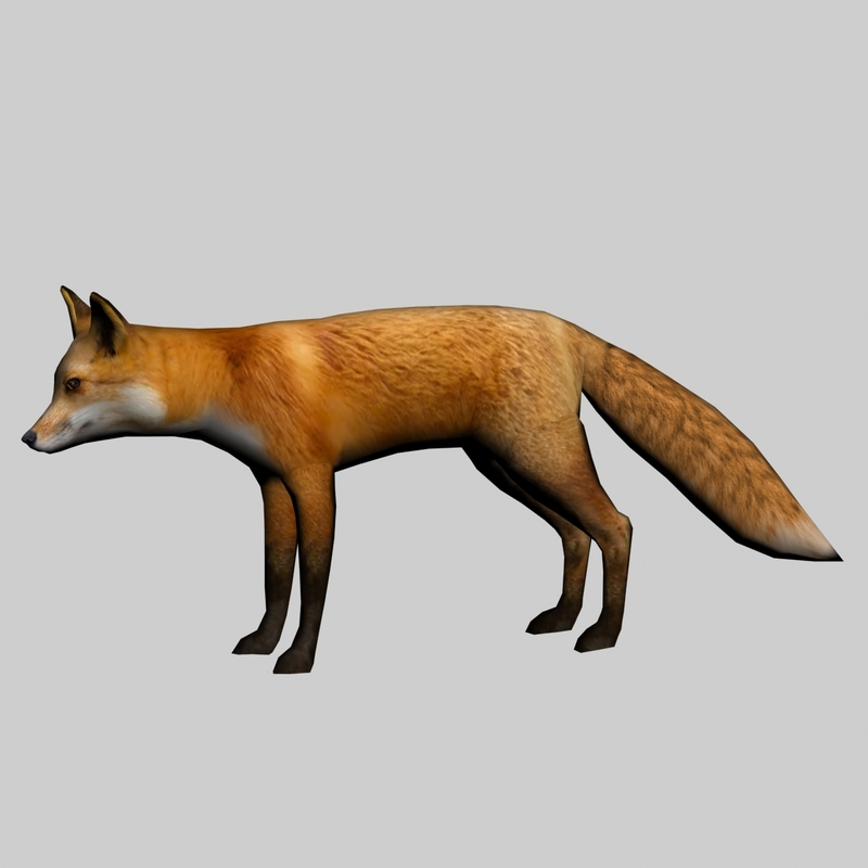 3D model fox - TurboSquid 1395052
